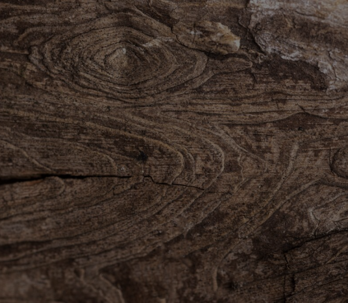 Mexicana – Taiga Floors