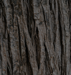 Europea – Taiga Floors